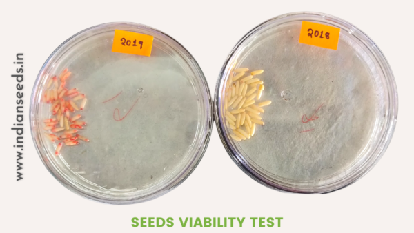 What is Seed Viability Test – Know the quality of your seeds - Indian Seeds