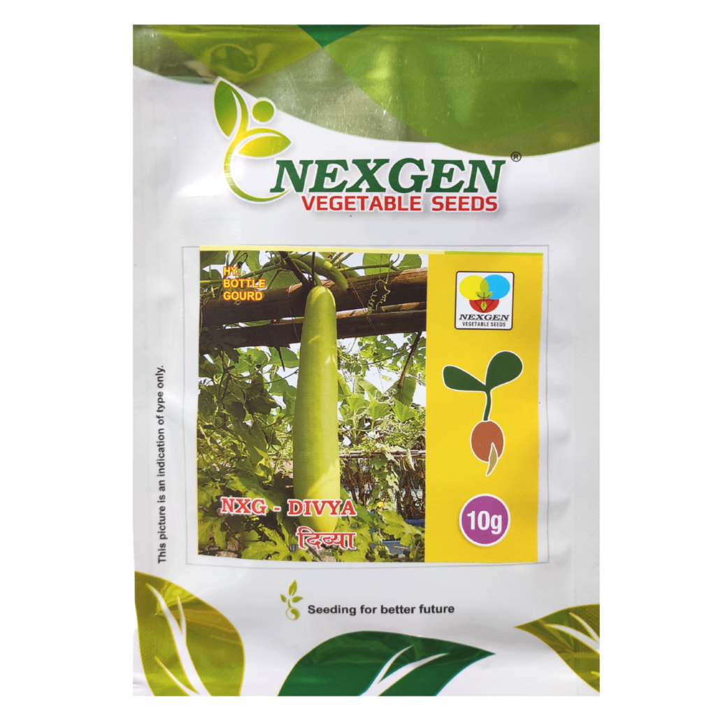 Nexgen Hybrid Bottle Gourd Seeds - Divya (10g) - Indian Seeds
