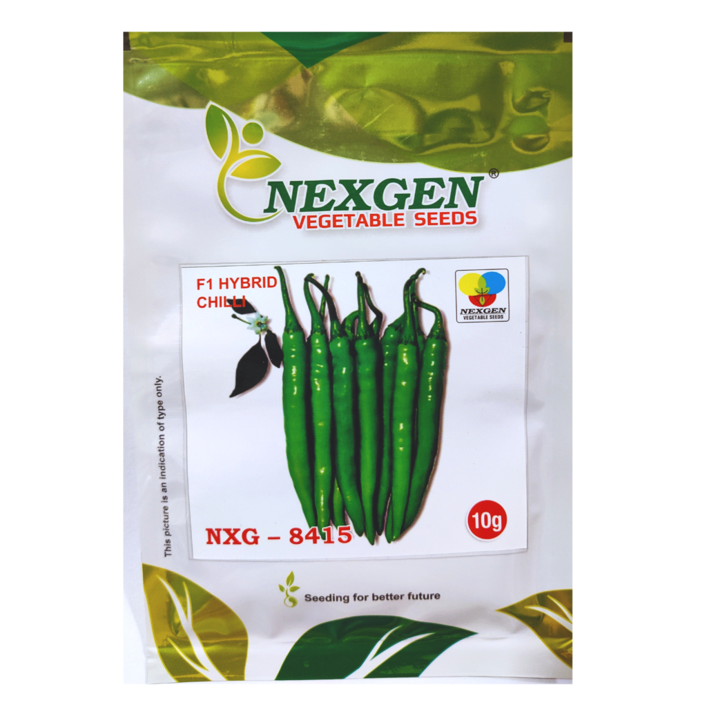 Nexgen Hybrid Chilly Seeds - 8415 (10g) - Indian Seeds Indian Seeds
