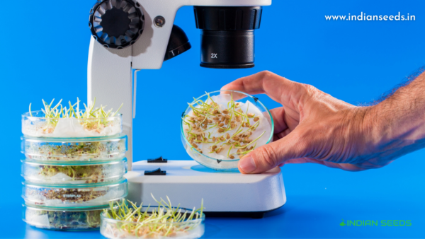 Seed Certification System in India - Indian Seeds