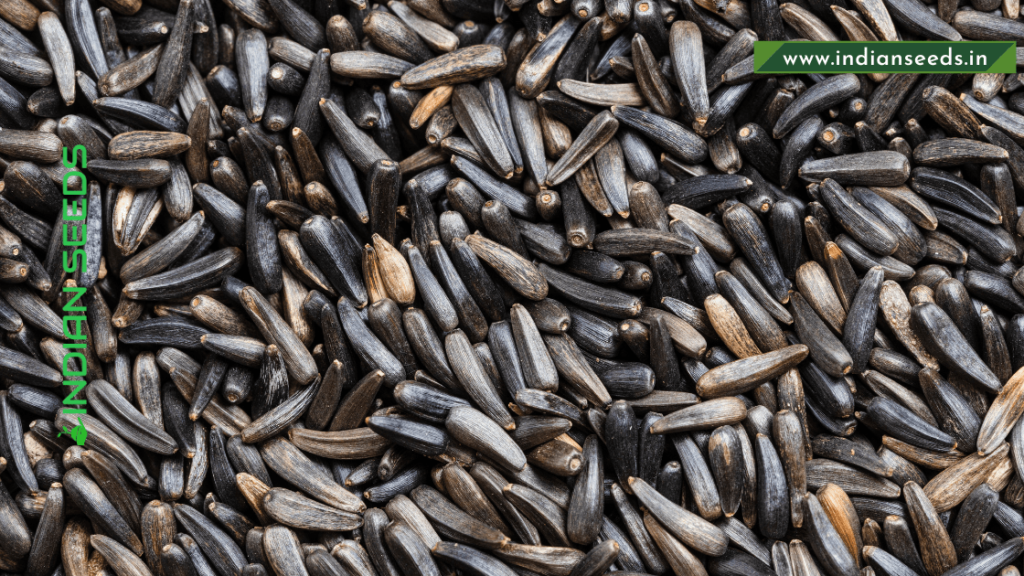 Benefits of Niger Seed Oil and Side Effects - Indian Seeds