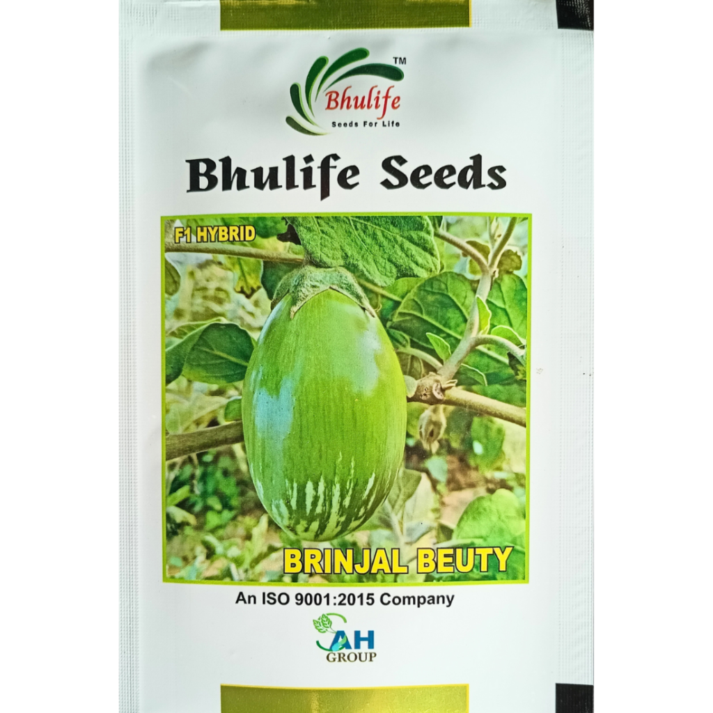 Bhulife Hybrid Brinjal Seeds Beauty (10g) - Indian Seeds