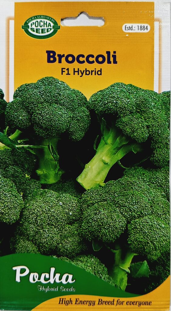 Broccoli Seeds 🥦 F1 Hybrid KGP by Pocha Seeds - Indian Seeds