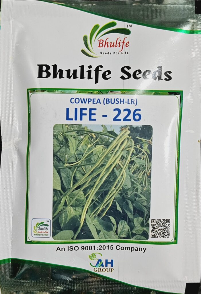Cowpea Seeds Life-226 Bush by Bhulife Seeds 100g - Indian Seeds