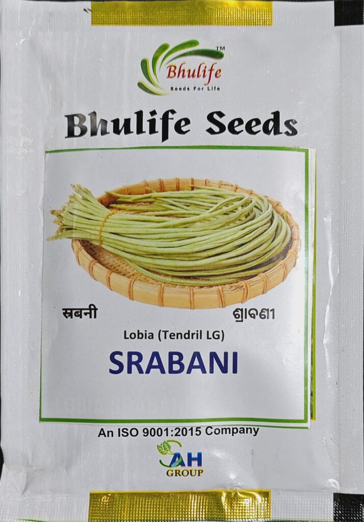 Lobia Seeds Srabani by Bhulife Seeds 100g - Indian Seeds